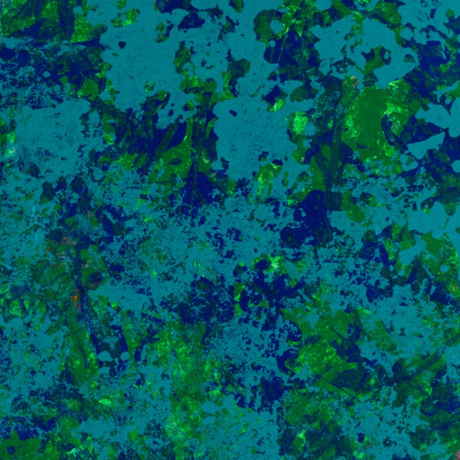Algae - Lawson Smith Art | Brain Injury Survivor & Artist